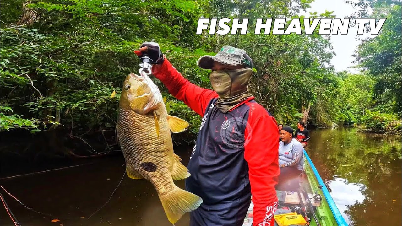 Reel Okuma Komodo 364LX X Rod Jack's Vision Black Jack's GS 15-30 Lbs ...