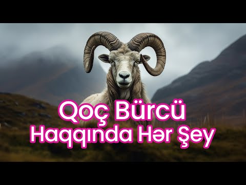 Qoç Bürcü Haqqında Hər Şey: İşarəsi, Xarakteri, Ayları və Uyğunluğu