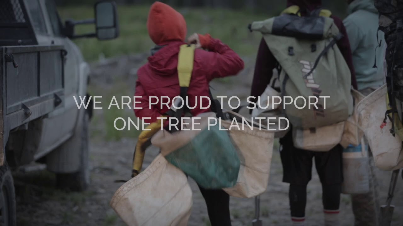 One Tree Planted Reforestation Partners With Our Baby Space - YouTube