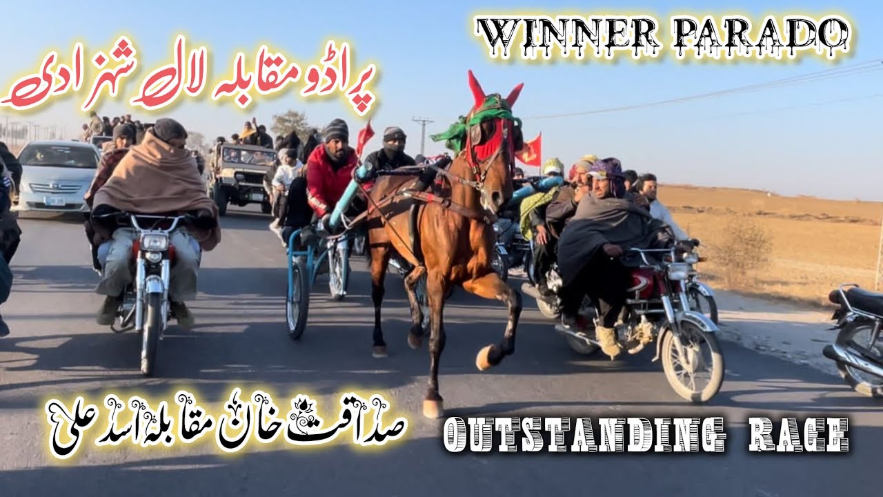 Laal shehzadi Vs Parador horse race / Parador vs Lal shehzadi horse ...