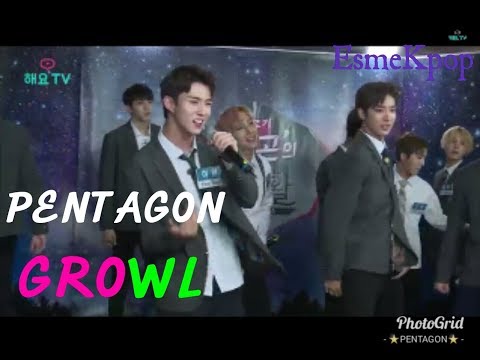 [PENTAGON - 펜타곤] ''GROWL - 으르렁''  BY EXO HEYO TV