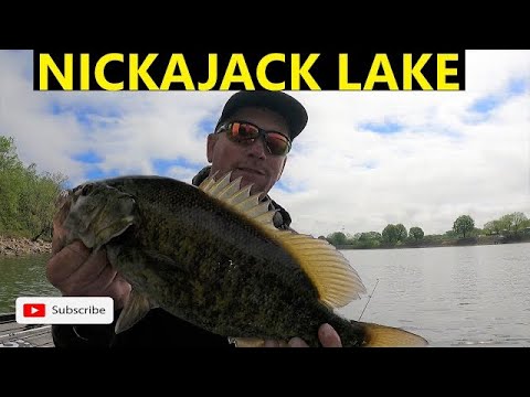 Chickamauga Dam fishing/Pre-Spawn Bass Fishing on Nickajack Lake one ...