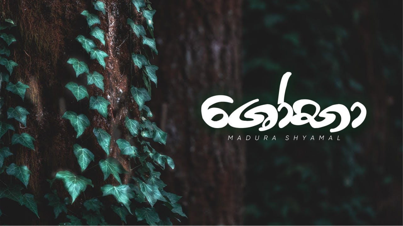 SHOBA (ශෝහා) Bhashi Devanga| Cover By Madura Shayamal - YouTube