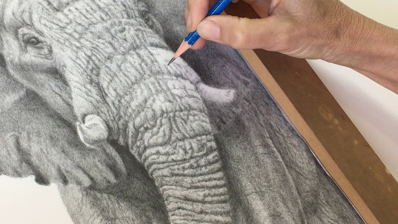 Kate Jenvey elephant drawing African animals - YouTube