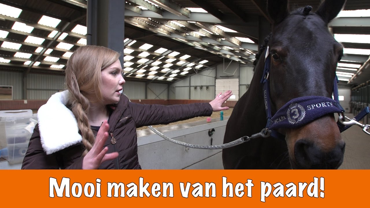 How to: Mooi maken van het paard| PaardenpraatTV - YouTube