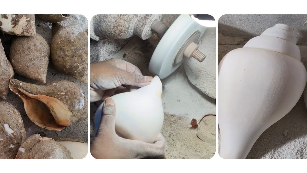 Shankho finishing।‌। Original shankho।। শঙ্খ কিভাবে তৈরি হয় - YouTube