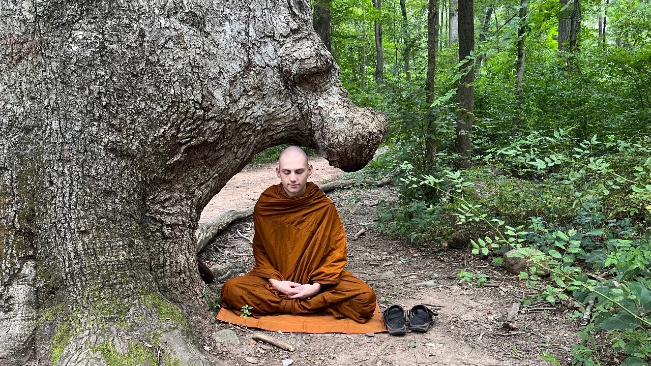 Morning Dhamma Session, w/ Bhante Vaddha - YouTube