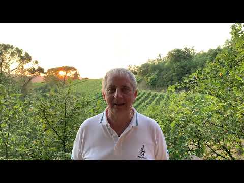 Vino Cesanese del Piglio DOCG - Casale della Ioria -  Gastronomo On the Road 🍷 Le Interviste