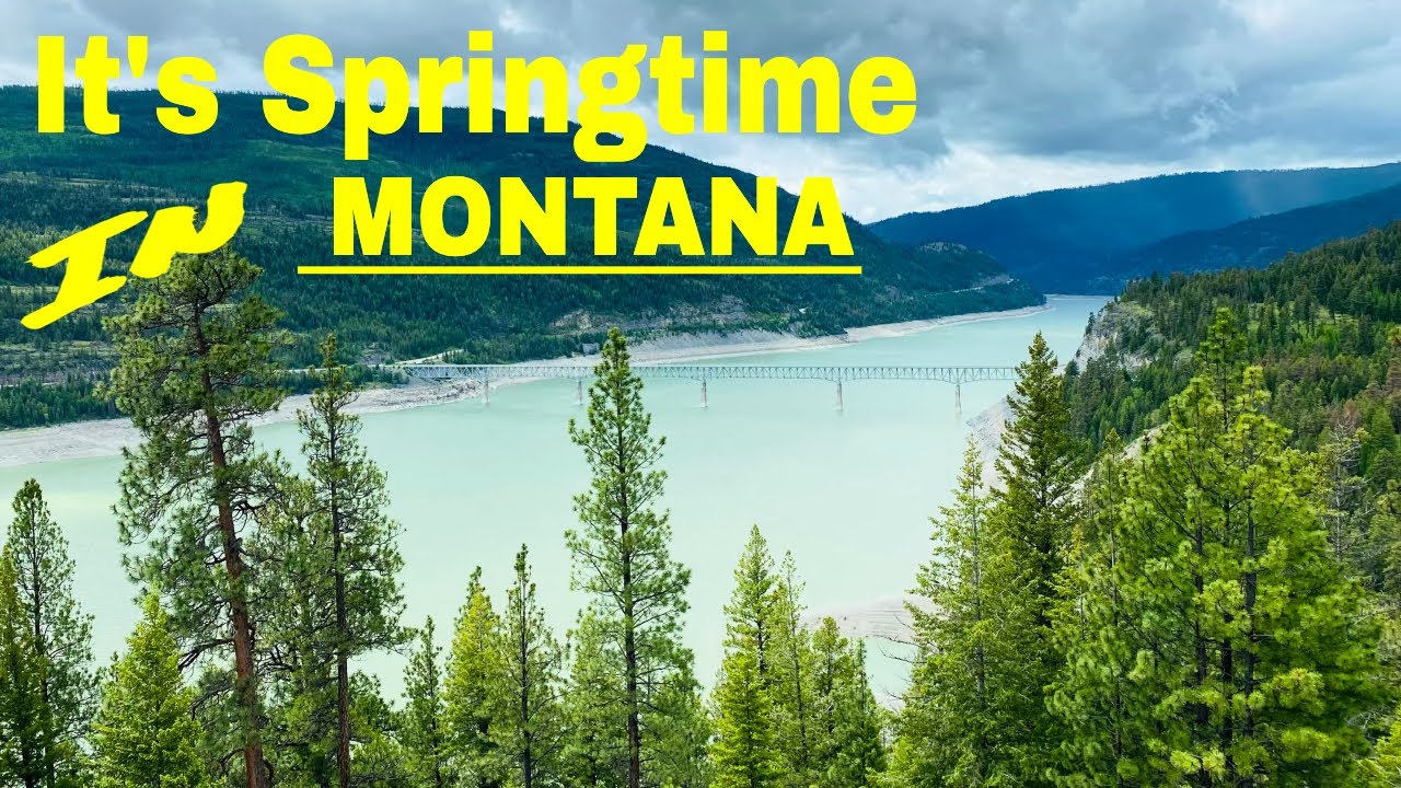 SpringTime in Montana, Highlights of our week.Mullet Family Montana ...