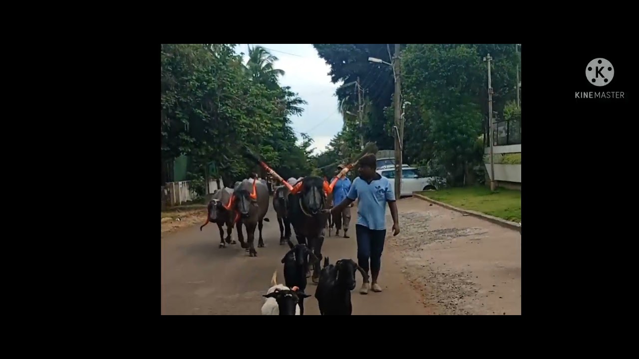 8 November 2021 - YouTube
