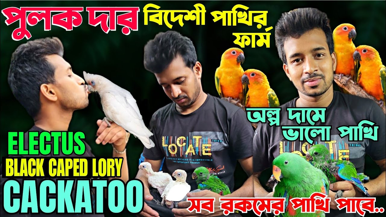 Pulak Dar বিদেশী পাখির ফার্ম💥|| অল্প দামে ভালো পাখি বিক্রি আছে || Bare-Eyed Cackotoo, Electus ...