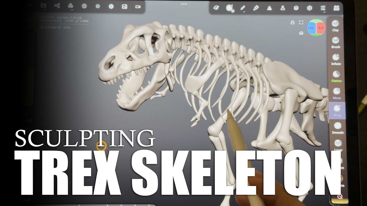3D Sculpting a T-Rex Skeleton - YouTube