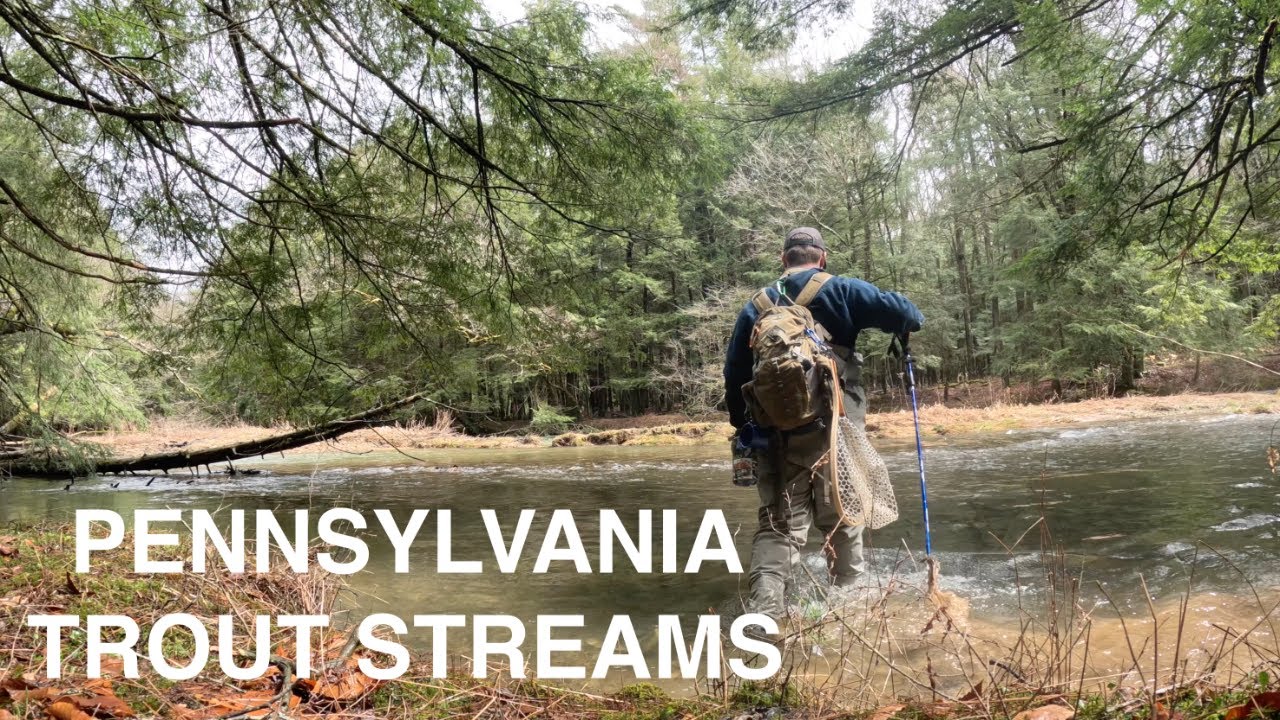 BEAUTIFUL PENNSYLVANIA TROUT STREAMS (RIVER SOUNDS ASMR) - YouTube