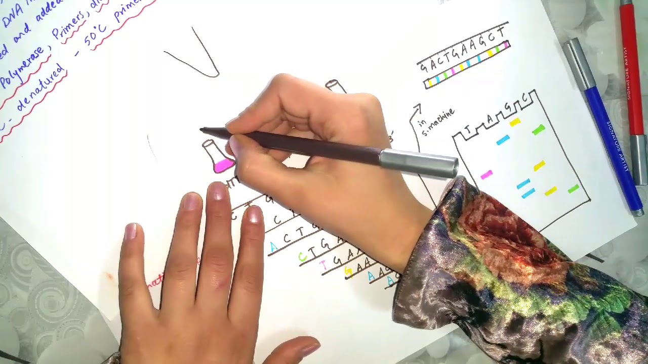 sanger-Coulson method of DNA Sequencing in urdu class 12 - YouTube
