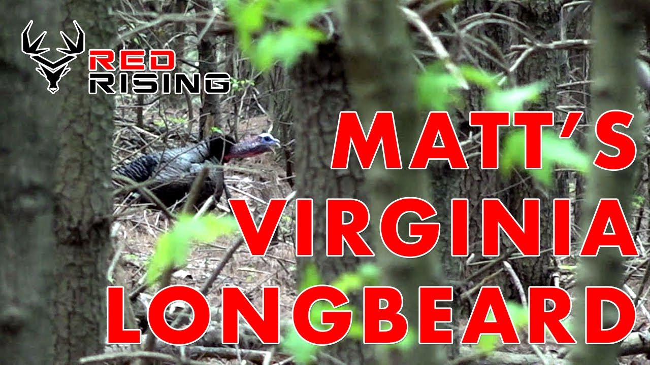Matt's Primland Turkey [TURKEY HUNTING] - YouTube