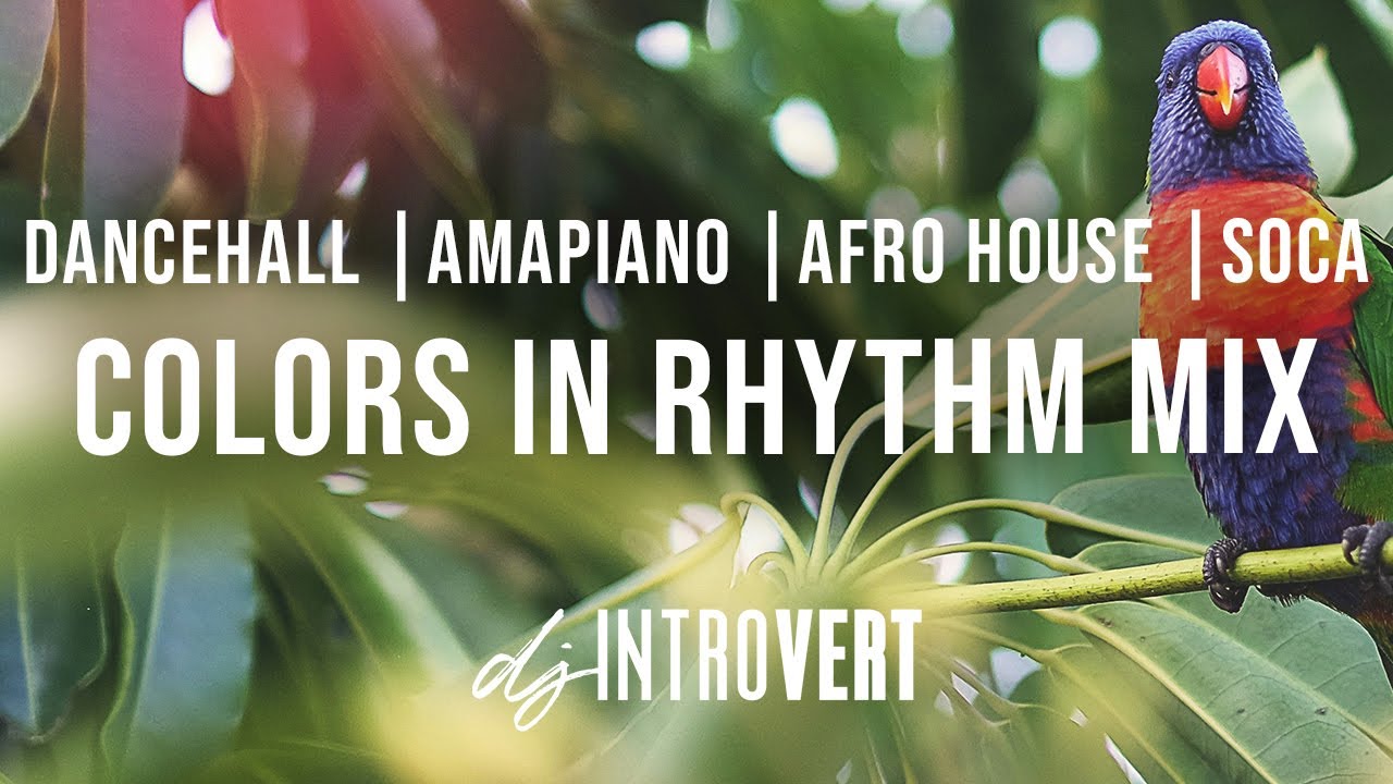 Dancehall | Amapiano | Afro House (Latin) | Soca - Colors In Rhythm Mix ...