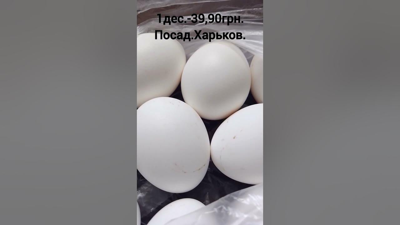 Цена за десяток яиц #ценывукраине #ценынаеду #ценынапродукты # ...