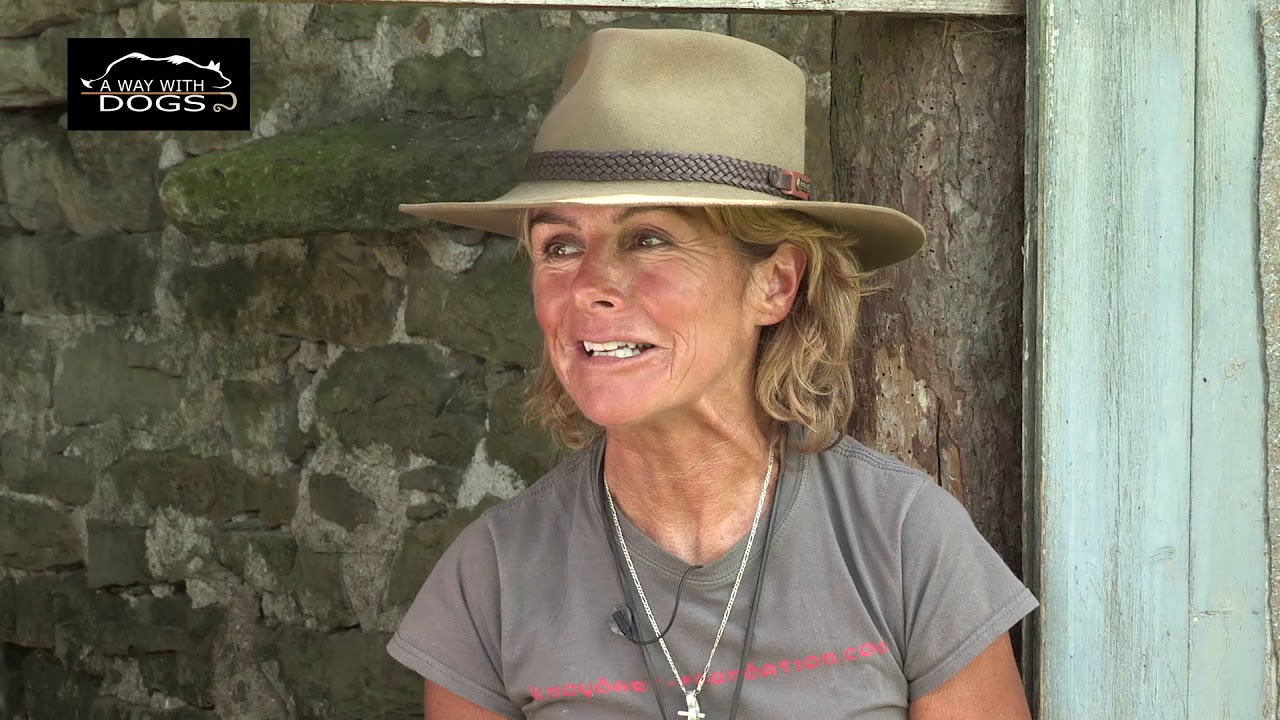 Sheepdog Trial Interview. Eng. Nat Brace Ch. Katy Cropper & Paddy ...