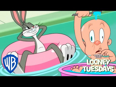 Looney Tunes in Italiano 🇮🇹 | Coniglietto da piscina! 🐰 | WB Kids