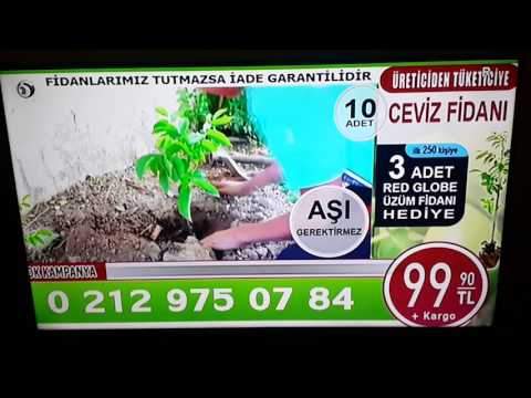 Dolandiricilara SON HEDEF TV