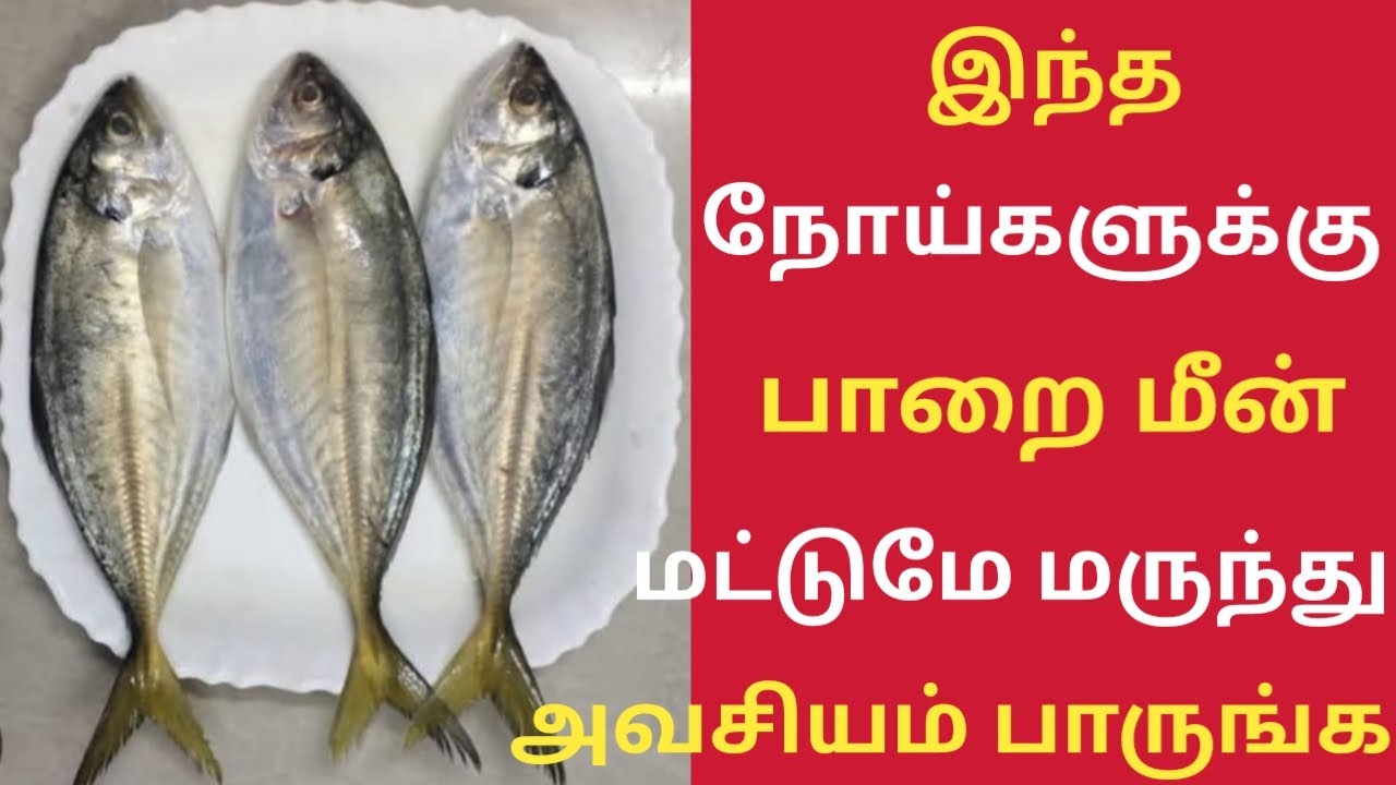 பாறை மீனின் ரகசியம் தெரியுமா!/Malabar King Fish Health Benefits in ...