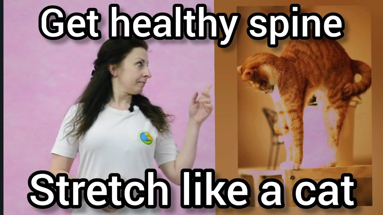 The Cat Stretch: A Simple Way to a Healthier Spine - YouTube