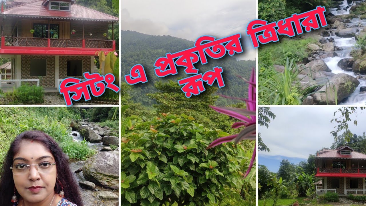 Shittong/North bengal offbeat tourist place/Sumnima homestay ...