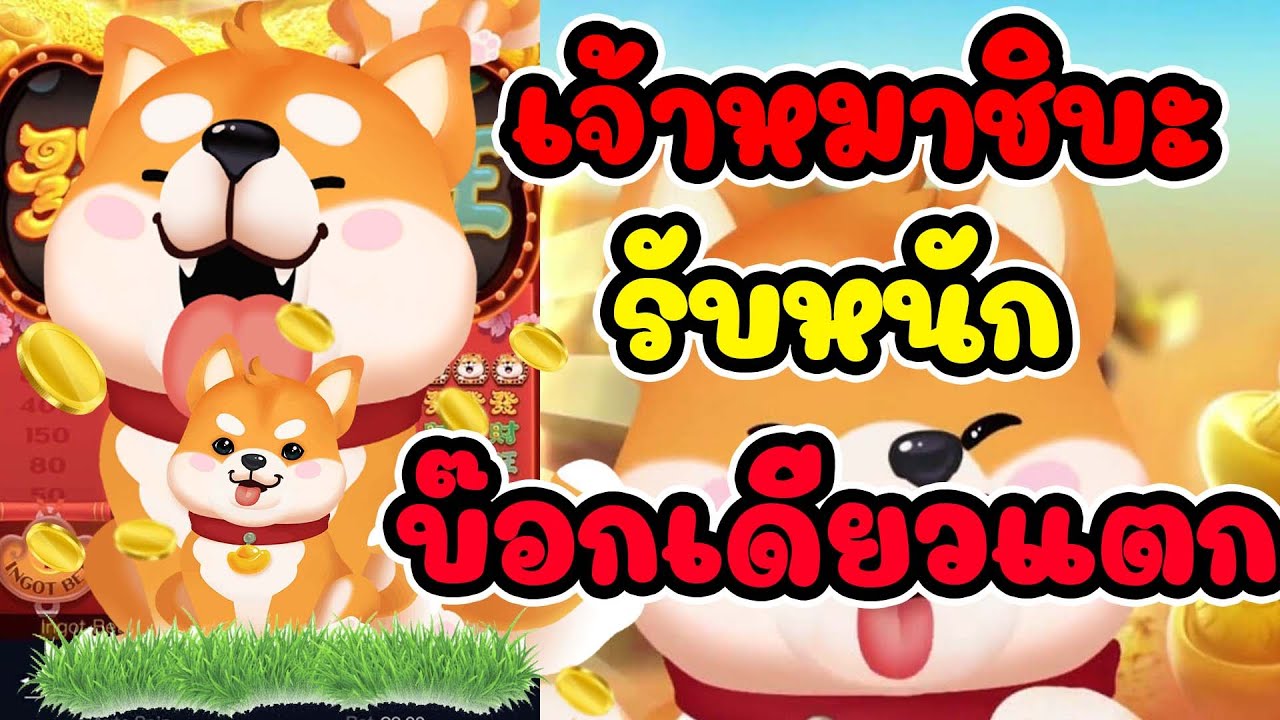 Win Win Won สล็อตPG ชิบะสายปั่น บอกเลยเกมนี้โครตดี ปั่นไม่กี่ที แตก ...