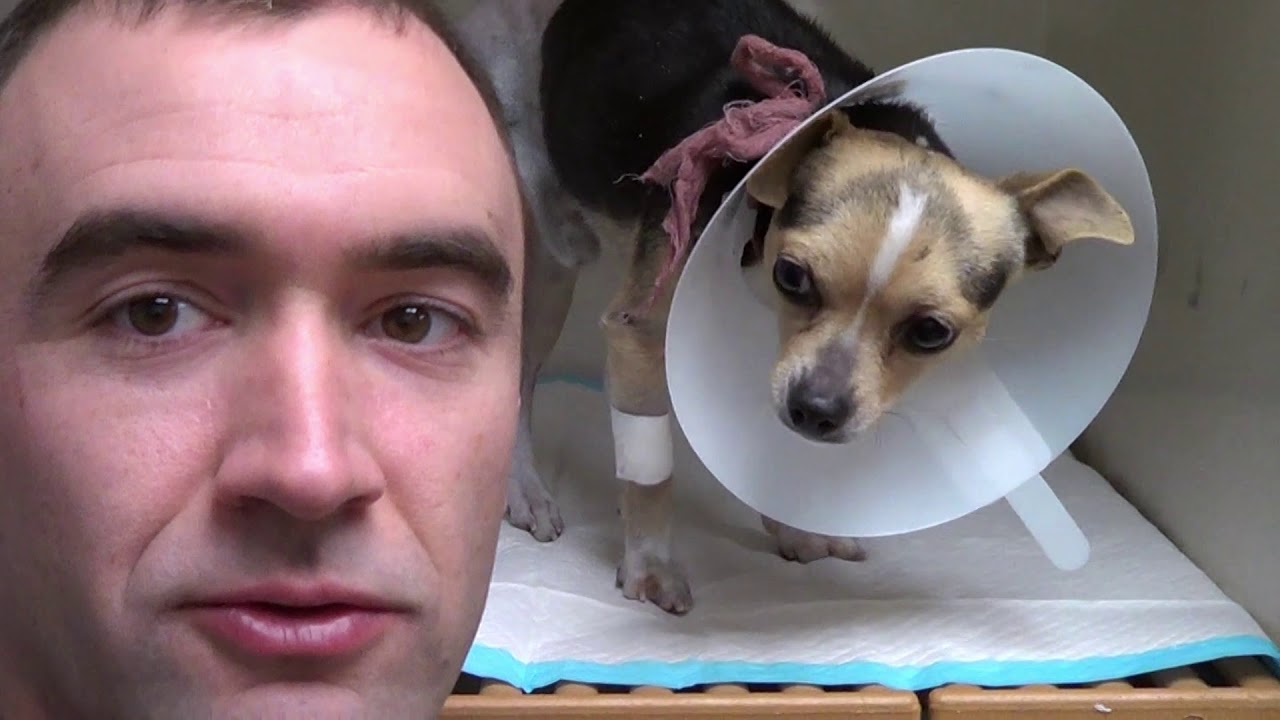 Helping Uncle Skippy Find a Home!!! - YouTube