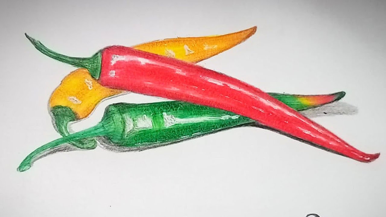 CHILI DRAWING WITH COLOR PENCILS || SPICE UP YOUR ART || BLAZING ...