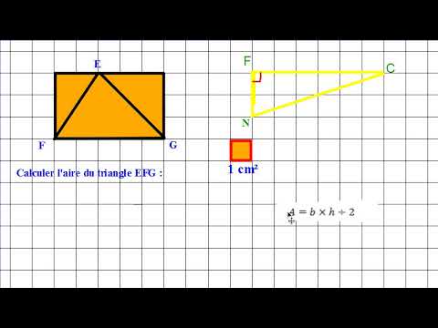 Aire d'un triangle et lien avec l'aire d'un rectangle - YouTube
