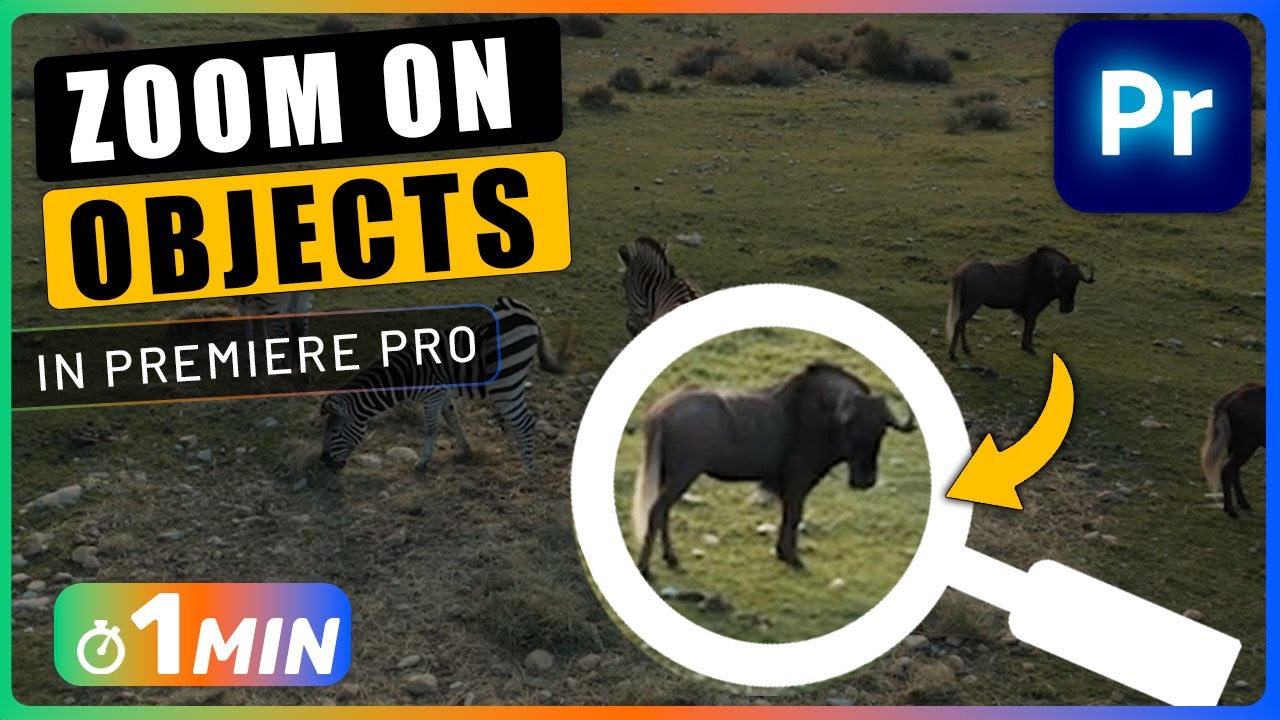 How to ZOOM in on Part of Video in Premiere Pro - YouTube