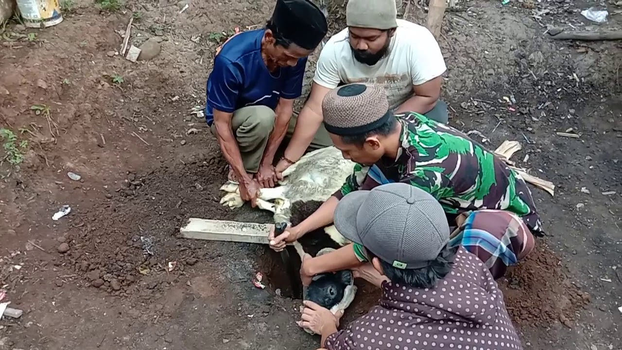 Aqiqah Ali alviano hermawan part2 - YouTube