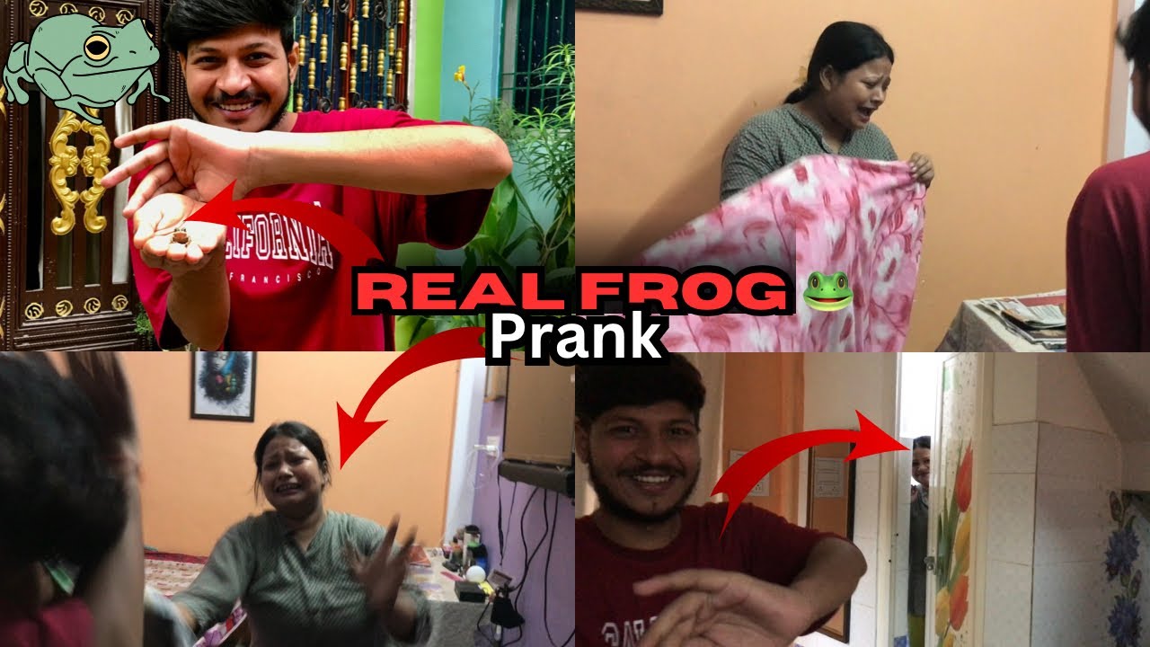 Real frog prank my sister 😂|| gone angry with me - YouTube
