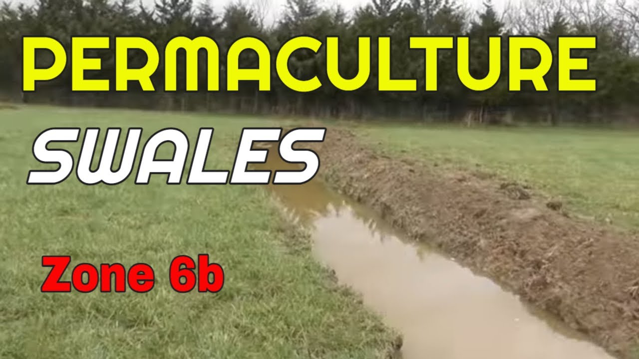 Swale Walk Feb 22 - YouTube