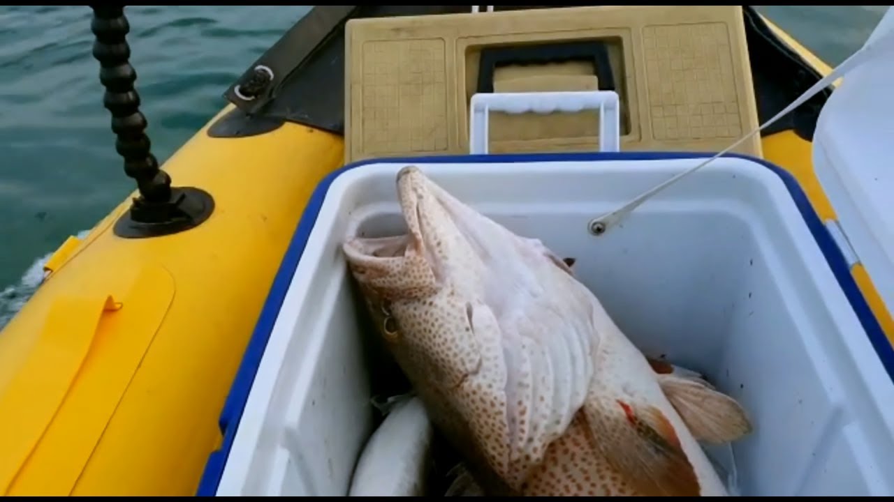 offshore fishing | grouper fishing Abu Dhabi | صيد # fishing # ...
