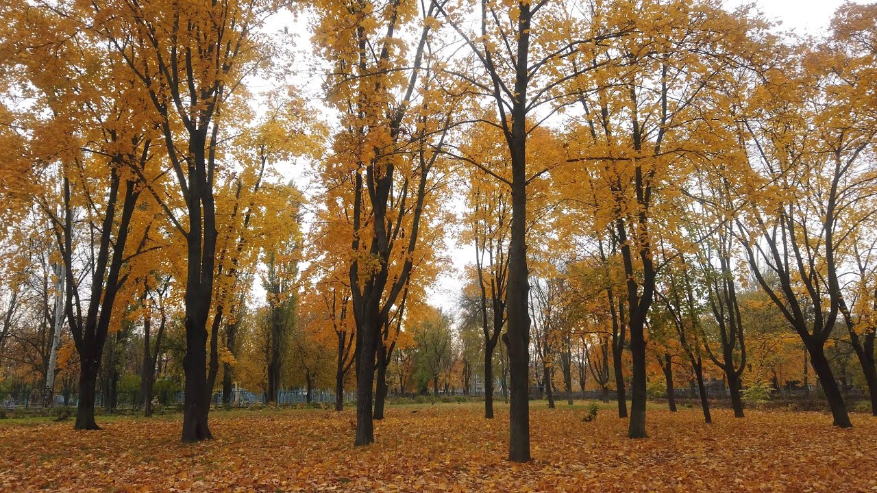 Independence war of Ukraine - 4K Ingulets Kryvyi Rih Autumn Walk ...