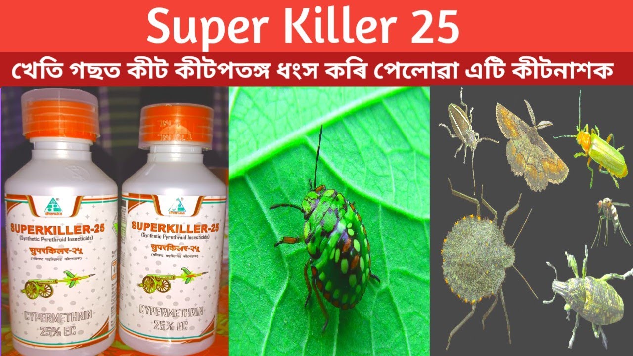 Super Killer 25 কীটনাশক খেতি গছত কীটপতঙ্গ ধংস কৰি পেলোৱা কীটনাশক - YouTube