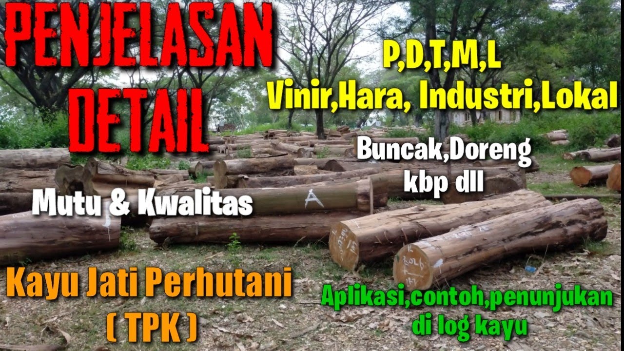 Penjelasan detail aplikasi kayu Mutu kwalitas P.D.T.M.L Lokal,Ind,Hara ...