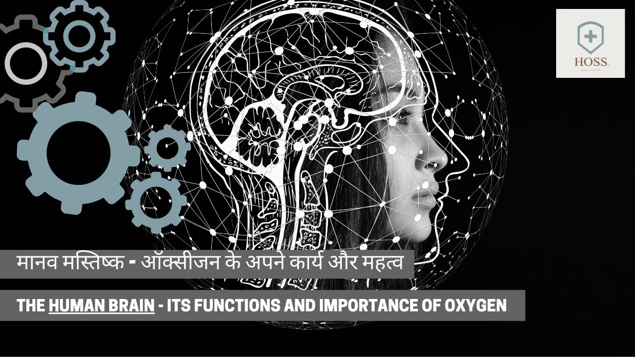 The Human Brain - Its Functions and Importance Of Oxygen - YouTube