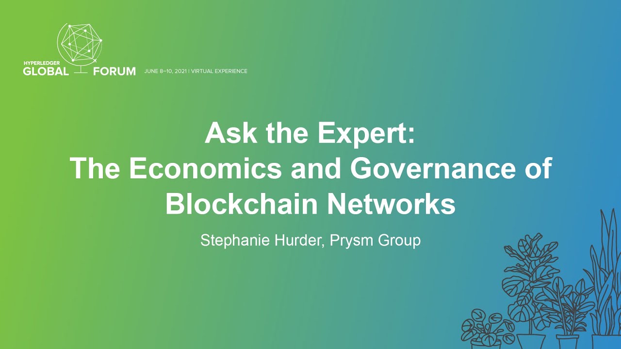 Ask the Expert: The Economics and Governance of Blockchain Networks ...