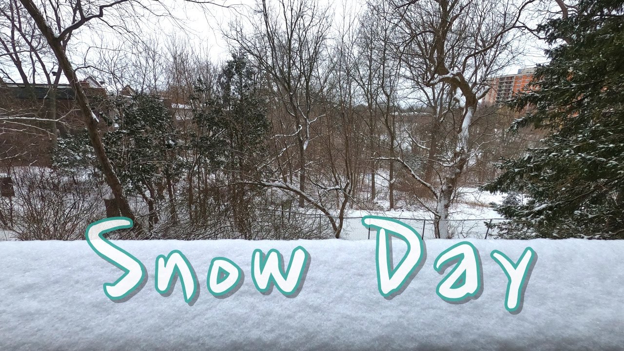 Snow Day [2023.2.23] @walkingontarioparks - YouTube