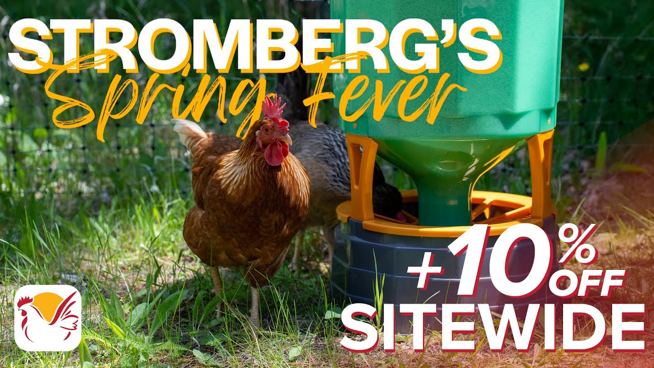 Stromberg's Spring Fever Sale is Here! Save 10% Sitewide! - YouTube