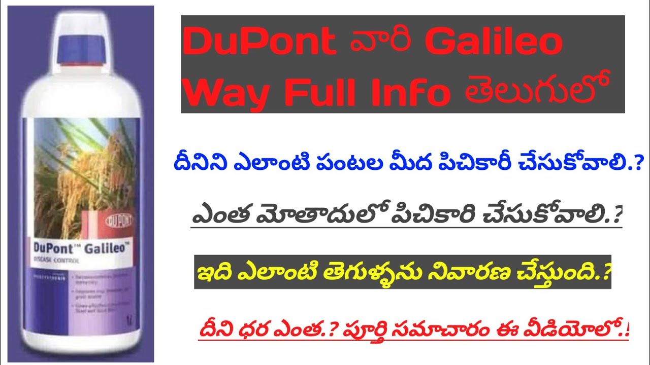 DuPont Galelio Way Fungicides Full Details In Telugu | varilo pamu poda ...