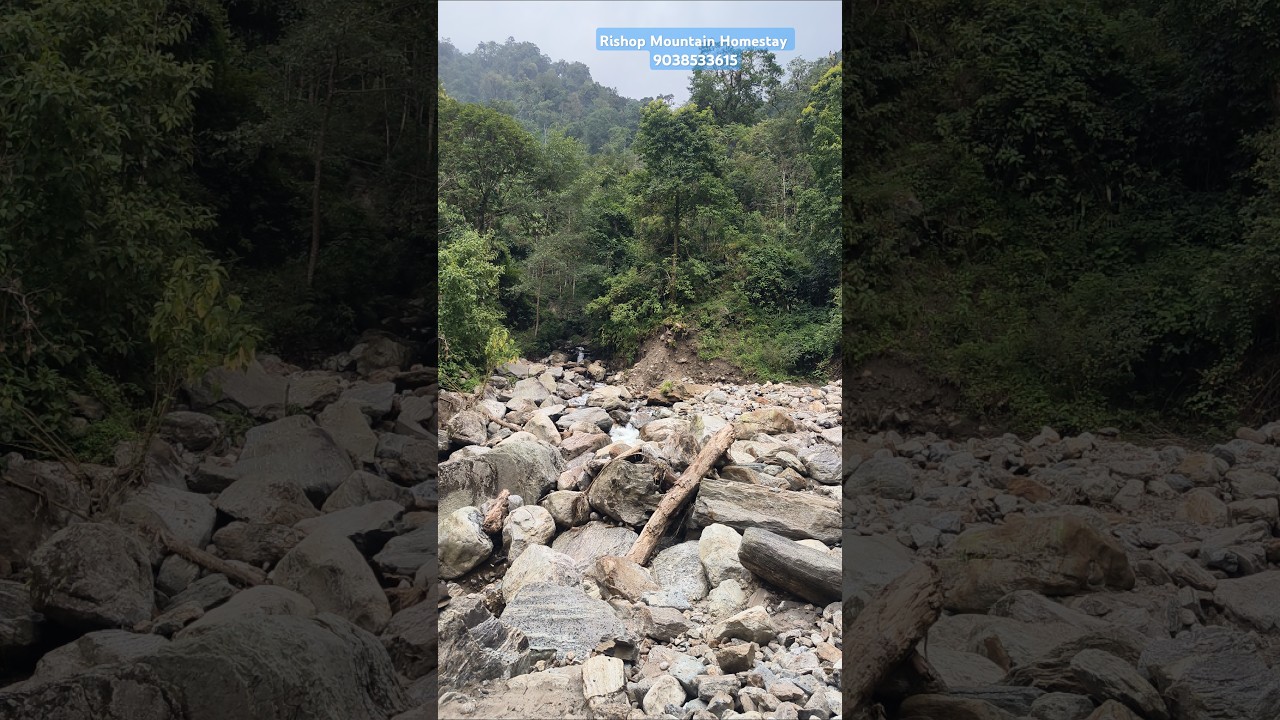 Rishop Mountain Homestay - YouTube