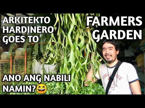 FARMERS GARDEN CUBAO TOUR! Part 2 | Farmers Garden Araneta QC ...