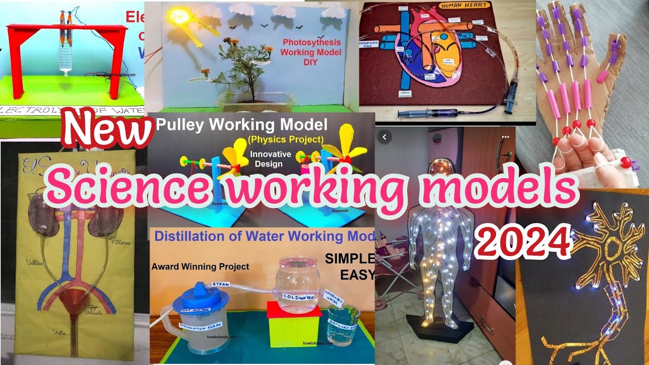 new Science working project models 2024|science amazing project ideas ...