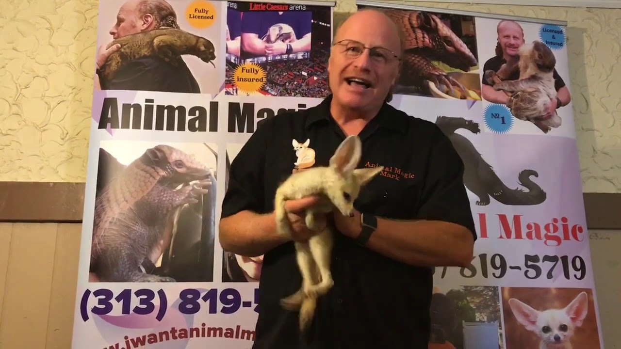 Animal Magic Ad for 37 virtual animal episodes - YouTube
