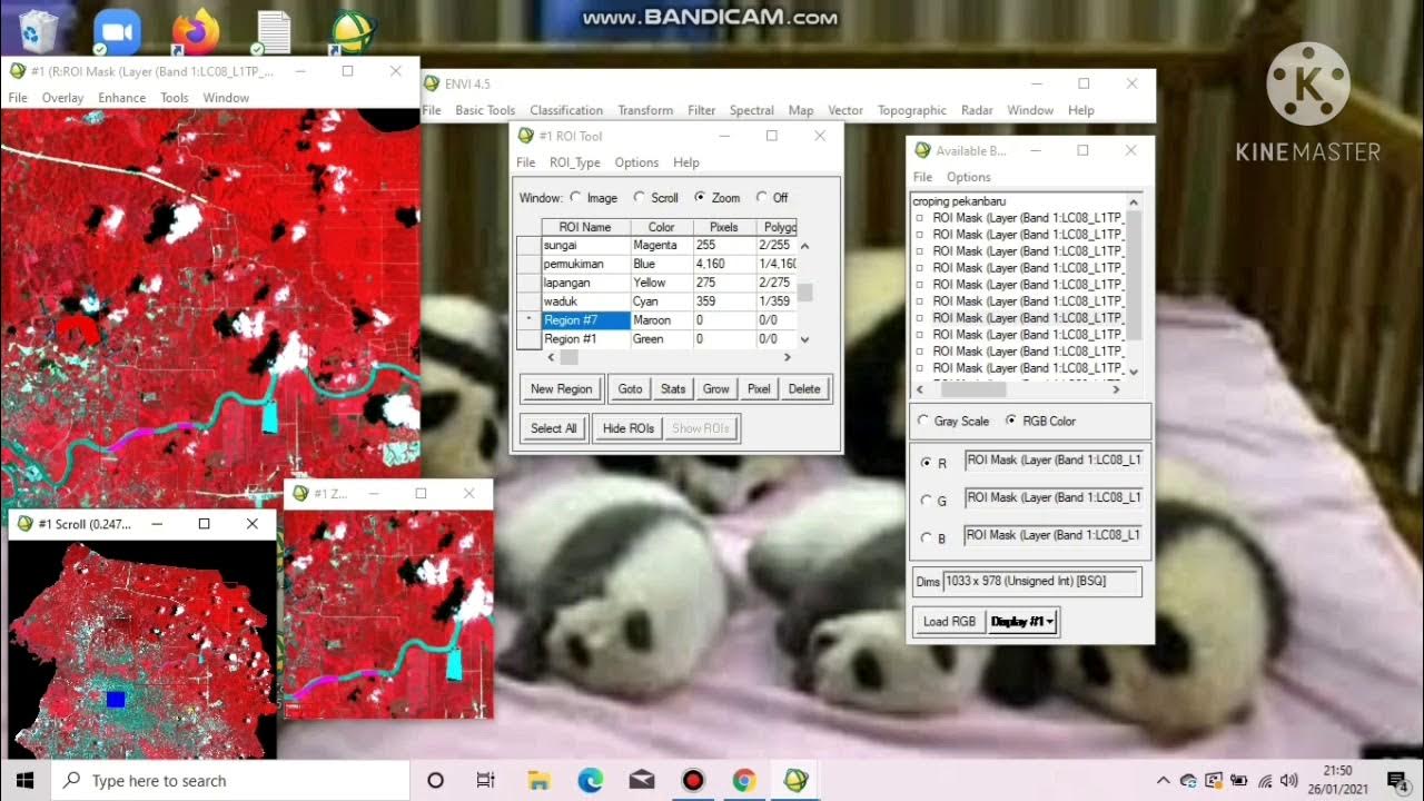 Klasifikasi supervised classification by envi 4.5 - YouTube