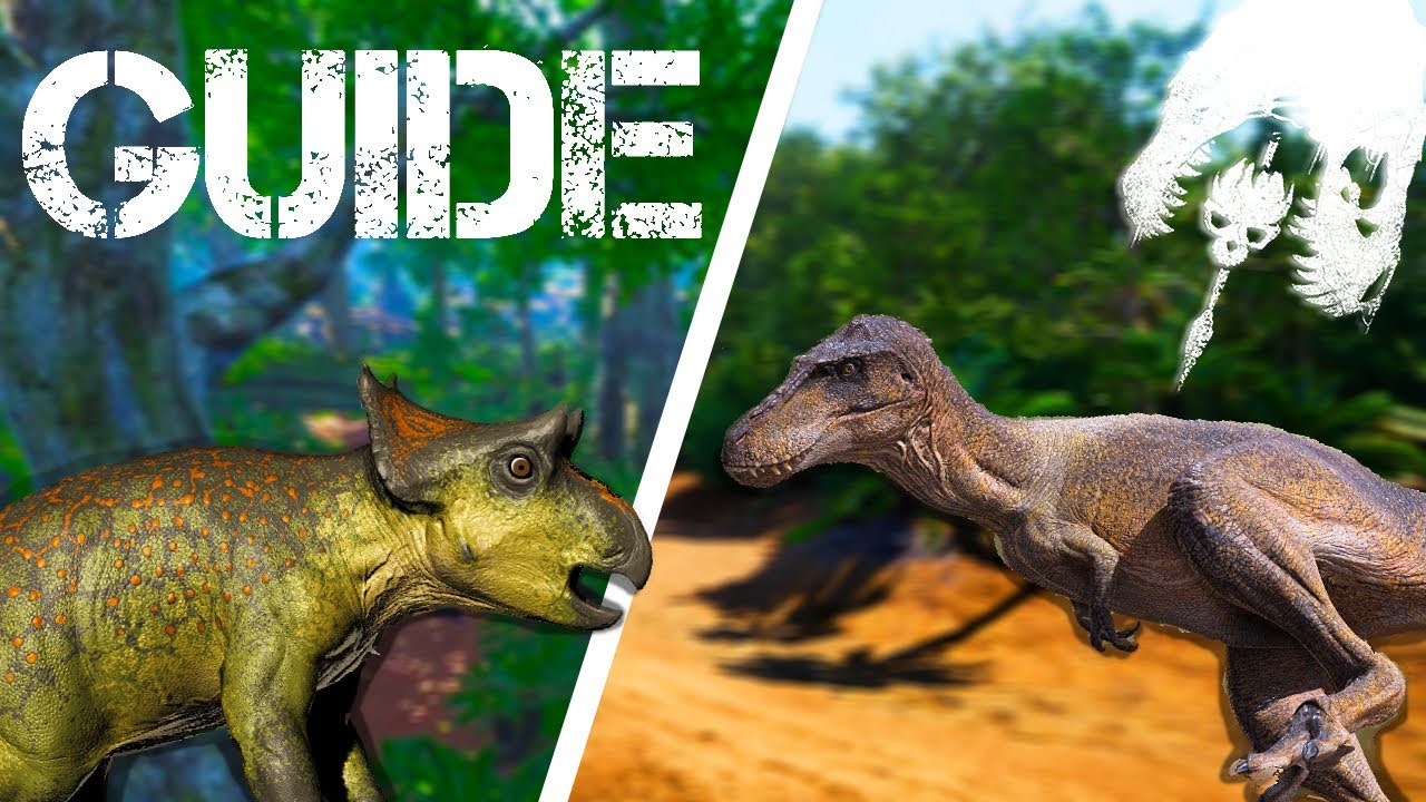 The Ultimate Sanctuary Guide | The Isle Evrima - YouTube